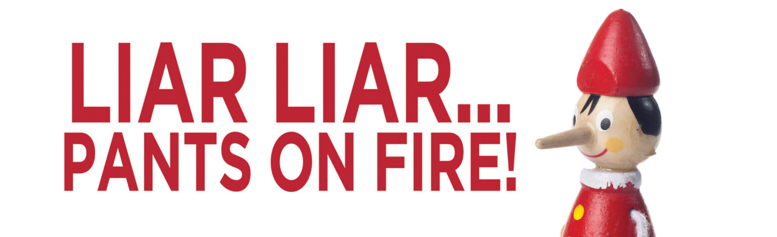 Liar, Liar, Pants on Fire. How to Handle a Negative Online Review